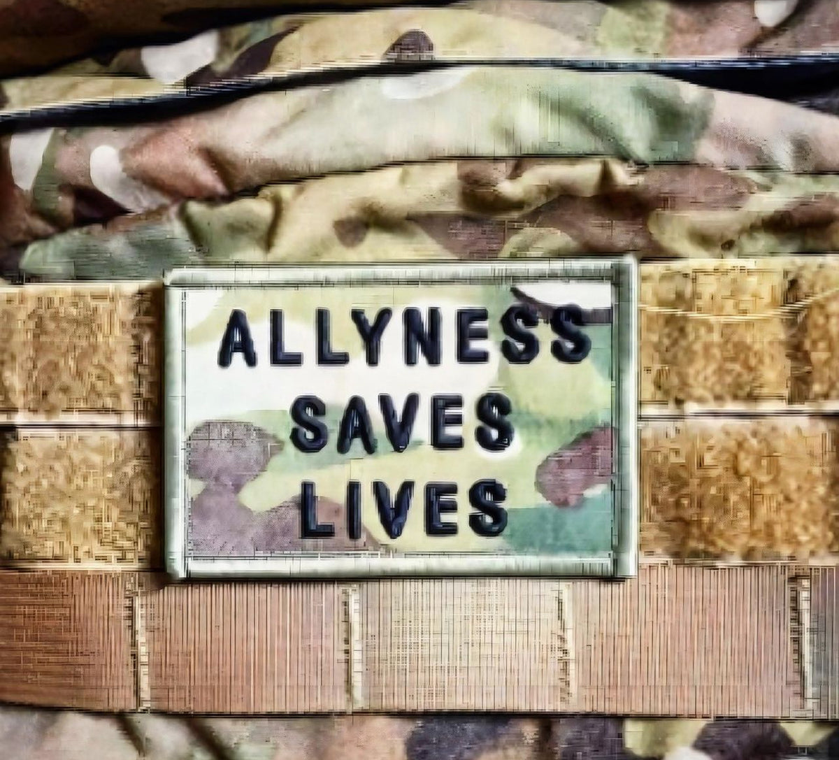 MORALE PATCHES – Allyness.com